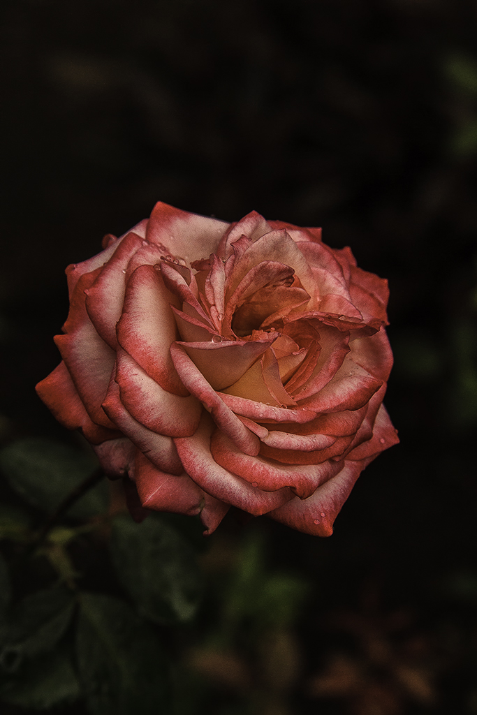 Two Lonely People | Ken Bennison's Photography